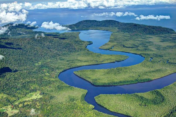 Terraba Sierpe National Wetlands Tour by Boat | Costa Rica Experts